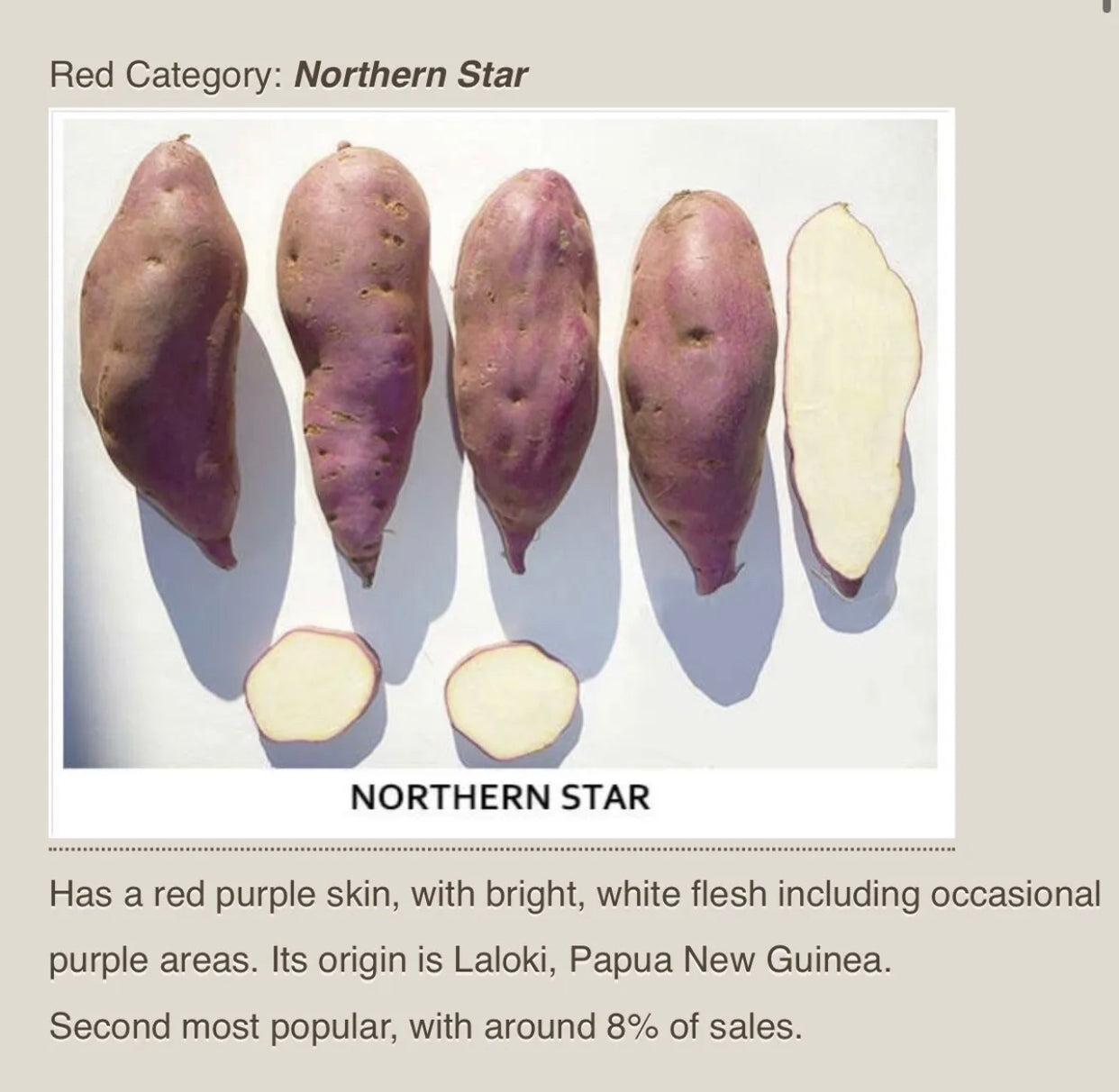 Sweet Potato ‘Northern Star’ - Edible Jungle Nursery